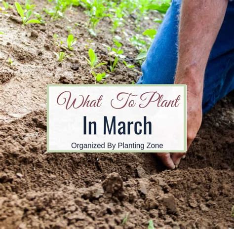 What To Plant In March By Planting Zone The Frugal Farm Wife