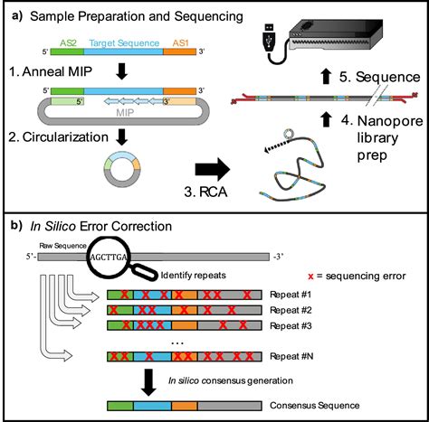 High Fidelity Nanopore Sequencing Of Ultra Short Dna Targets Analytical Chemistry