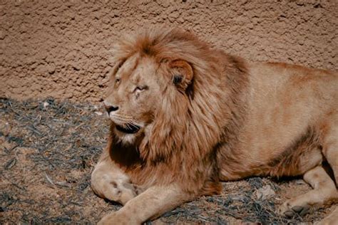 Beneficios Big Data 2026 🥇 Análisis Completo