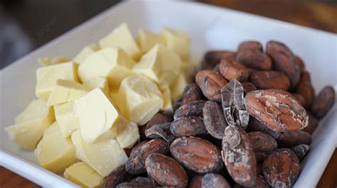 Cocoa Beans Butter And Chocolate Background Cocoa Powder Chocolate