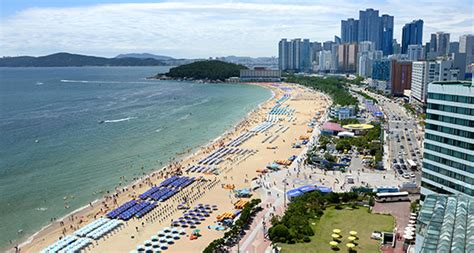 Busan Life At Pnu Pusan National University