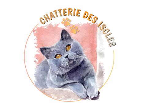 Des Iscles Élevage De British Shorthair à Nages Et Solorgues