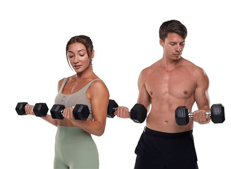 Workout Routine Database Jefit