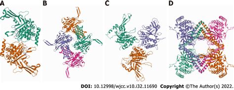 Crystal Structure Of Ubiquitin Specific Peptidases A Download Scientific Diagram