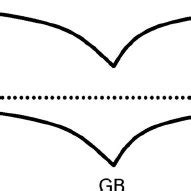Our Calculations Also Show That The Diffusion Barrier Download Scientific Diagram