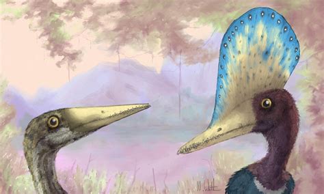 Pterodactyls Used Giant Head Crests To Woo The Ladies Rare Fossil Find