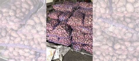 Продаю картошку 20 р купить в Омске | Товары для дома и дачи | Авито
