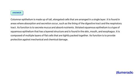 Solved Describe Structure Location And Function Of Squamous Epithelium Cuboidal Epithelium