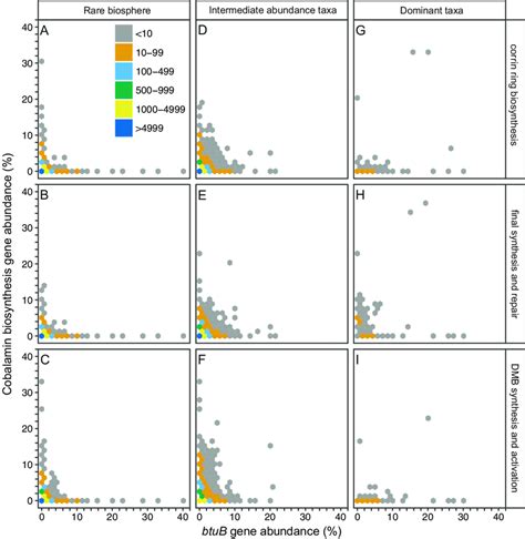 Relationship Between Genes Coding For Cobalamin Transport Btub And
