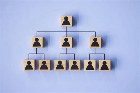 조직 스톡 사진 로열티 프리 조직 이미지 Depositphotos