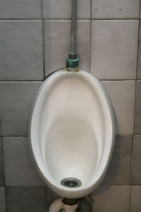 무료 이미지 남자 바닥 건물 레스토랑 남성 화장실 싱크대 방 가루 실내 망 변소 쇼핑 센터 세면실