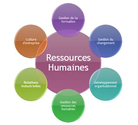 Organisation Et Gestion Des Ressources Humaines Université De Lomé