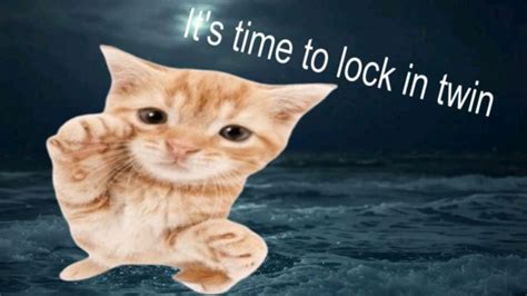 Lock Innn Funny Cat Videos Funny Memes Wallpaper Chromebook Y2k Cat