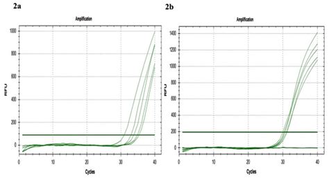 Sybr Green Based Qrt Pcr Amplification Curve [relative Fluorescence Download Scientific