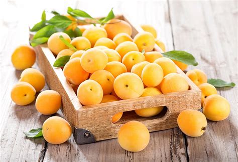 Food Apricot Fruit HD Wallpaper Wallpaperbetter