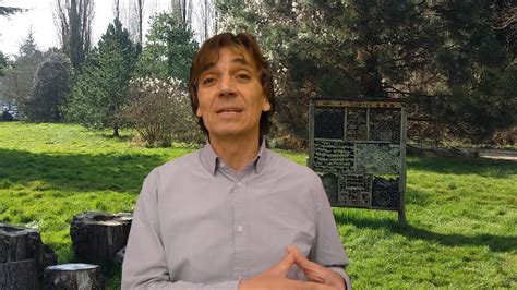 Cours Statistique Loi Binomiale Youtube