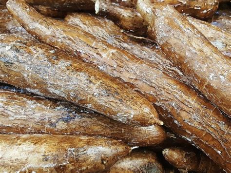 What Is Yuca Recipes Origins And Benefits Plant Based And Broke