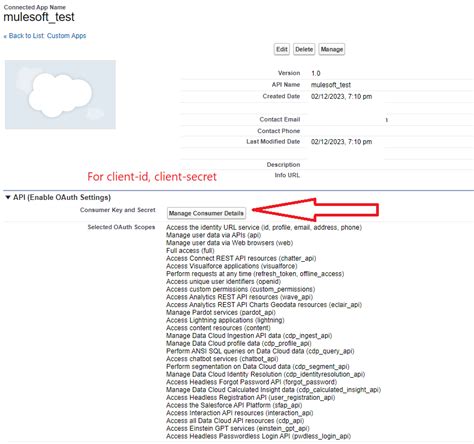 Mulesoft How To Authenticate Salesforce Using Oauth2 0