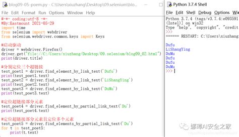 Python Selenium