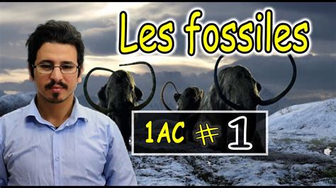 Limportance Des Fossiles La Fossilisation 1ac Part1 شرح