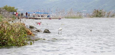 Lago de Chapala ha recuperado centímetros durante el temporal