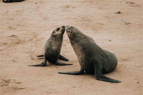 Cutegirlstelegraph Photos Download The Best Free Cutegirls