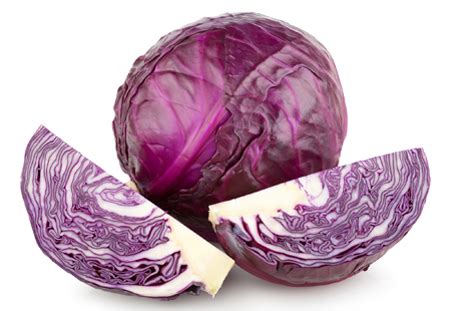 Red Cabbage Indicator Stem For Starters