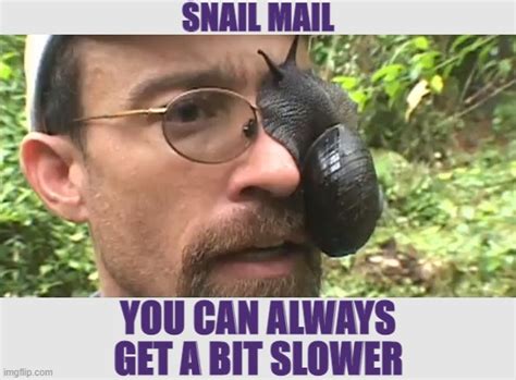 Snail Mail Memes Snail Mail Review Wiiware Nintendo Life