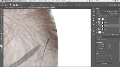Como crear imágenes con efecto doble exposición en Photoshop