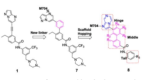 Figure 1 From Design And Optimization Of 3 Imidazo[1 2 A]pyrazin 3 Yl