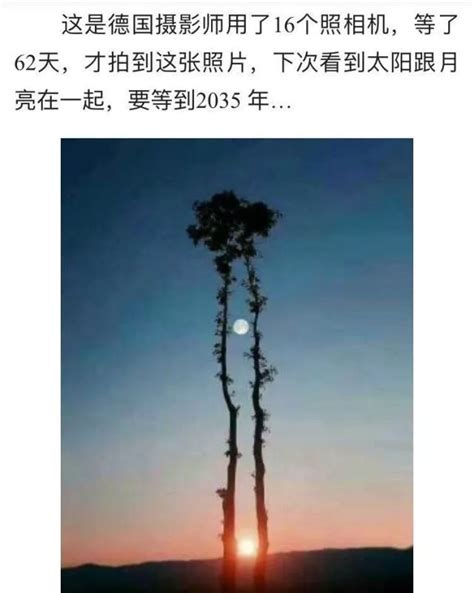 《大师们都常犯这些错误。你中招了吗？》