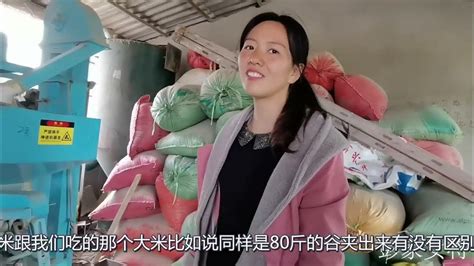 三哥三嫂拿两种稻谷去夹米，糯谷和杂交水稻，猜猜哪种出米率高些 Youtube