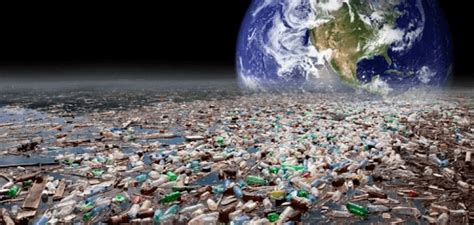 Consecuencias de la contaminación ambiental Erenovable