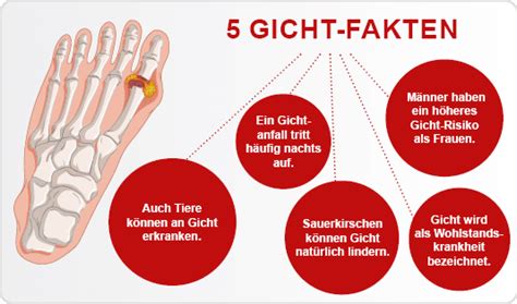 Gicht Erkennen And Behandeln Ursachen Symptome Therapie