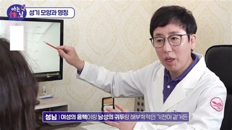 후방주의 여자 성기 모양 명칭에 대해 남자의사에게 설명듣는 한국 여자들 촬스의 이슈와 유머