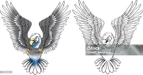 독수리 로고가 있는 벡터 기호입니다 선 초안 색상 아트웍 독수리에 대한 스톡 벡터 아트 및 기타 이미지 독수리 외형선 갈고리 발톱 Istock