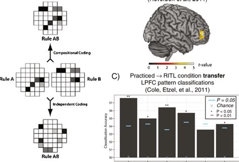 Compositional Coding Of Task Rules Within Lpfc A Compositional Coding