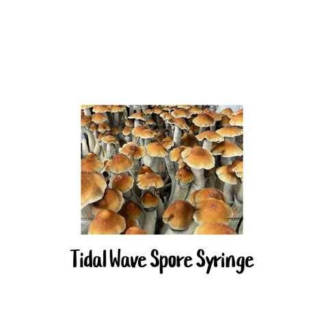 Tidal Wave Mushroom Strain 10cc Spore Syringe