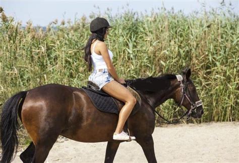 0793翻译 己亥杂诗其五 龚自珍 知乎