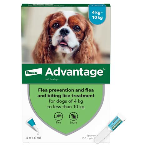 Best Flea Treatment for Dogs: Top Picks for 2024 - Sheffield Dog Walker | The Safest Dog Walks ...