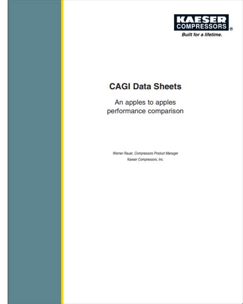 Cagi Data Sheets Provide Apples To Apples Compressed Air Comparison