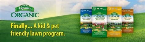 Best Lawn Fertilizer Ultimate Guide To Select And Use