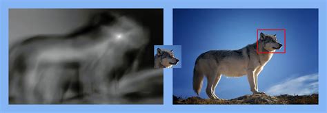 universal ui testing based on image and text recognition