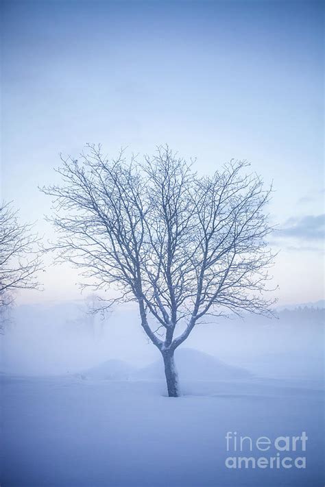 Winter Wonderland In Finland Photograph By Kati Finell Fine Art America