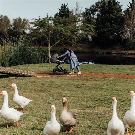 The Luxe Buy Premium Prams And Strollers Online Noola®