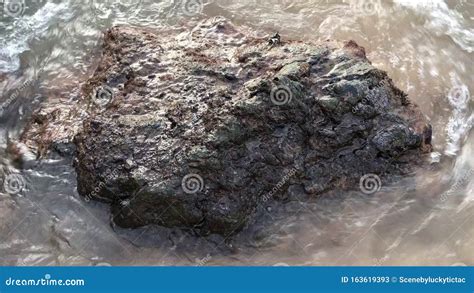 Waves Crashing On Rocks At Sunset Stock Video Video Of Ocean