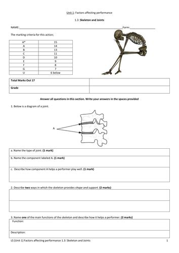 Igcse Pe 1 3 Skeleton And Joints Teaching Resources