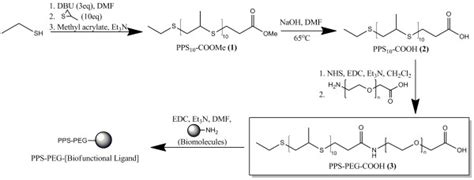 Synthesis Of Peg Pps Based Polymer Biomolecule Conjugates The Pps