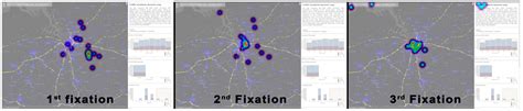 User Evaluation Of Map Based Visual Analytic Tools