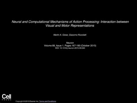 Neural And Computational Mechanisms Of Action Processing Interaction